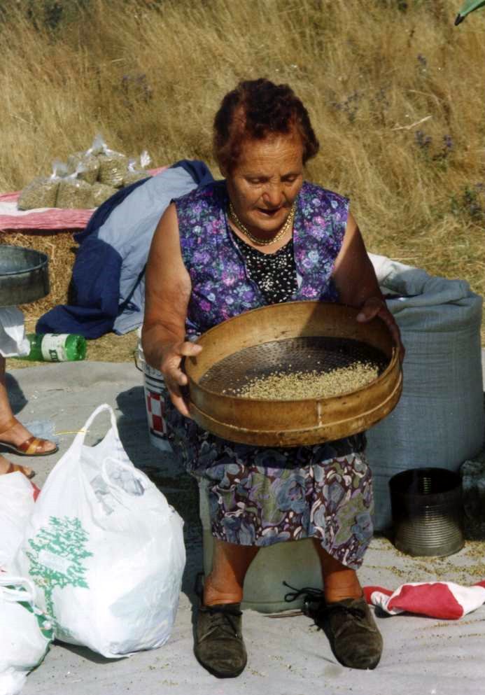 La lenticchia IGP di Castelluccio di Norcia